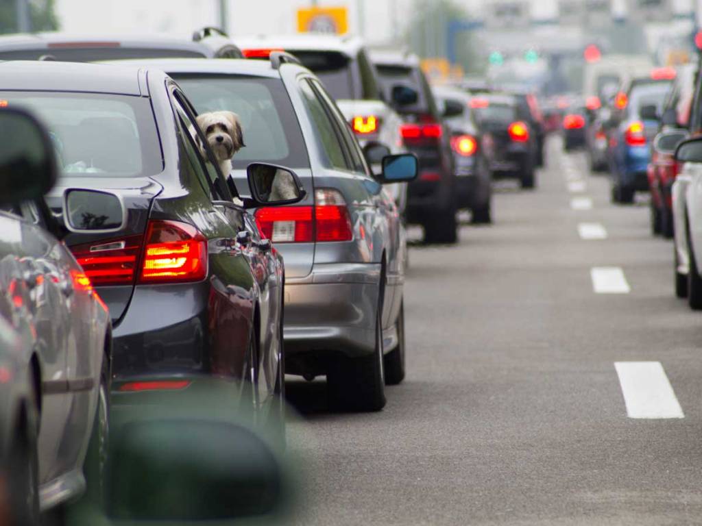 La OMS fija nuevos límites de ruido más restrictivos para los coches ...